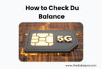 How to Check Du Balance: Complete Guide for Prepaid and Postpaid Users ...